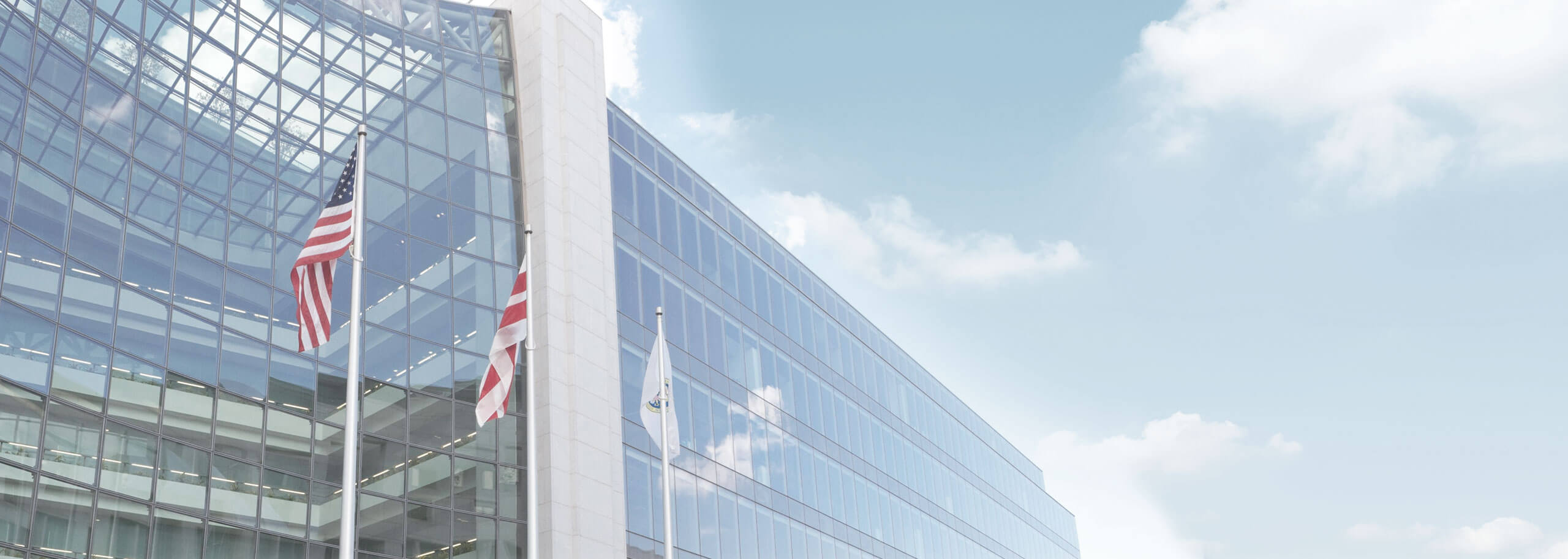 DAS Security Systems And Networking | Red Top Group Security Solutions